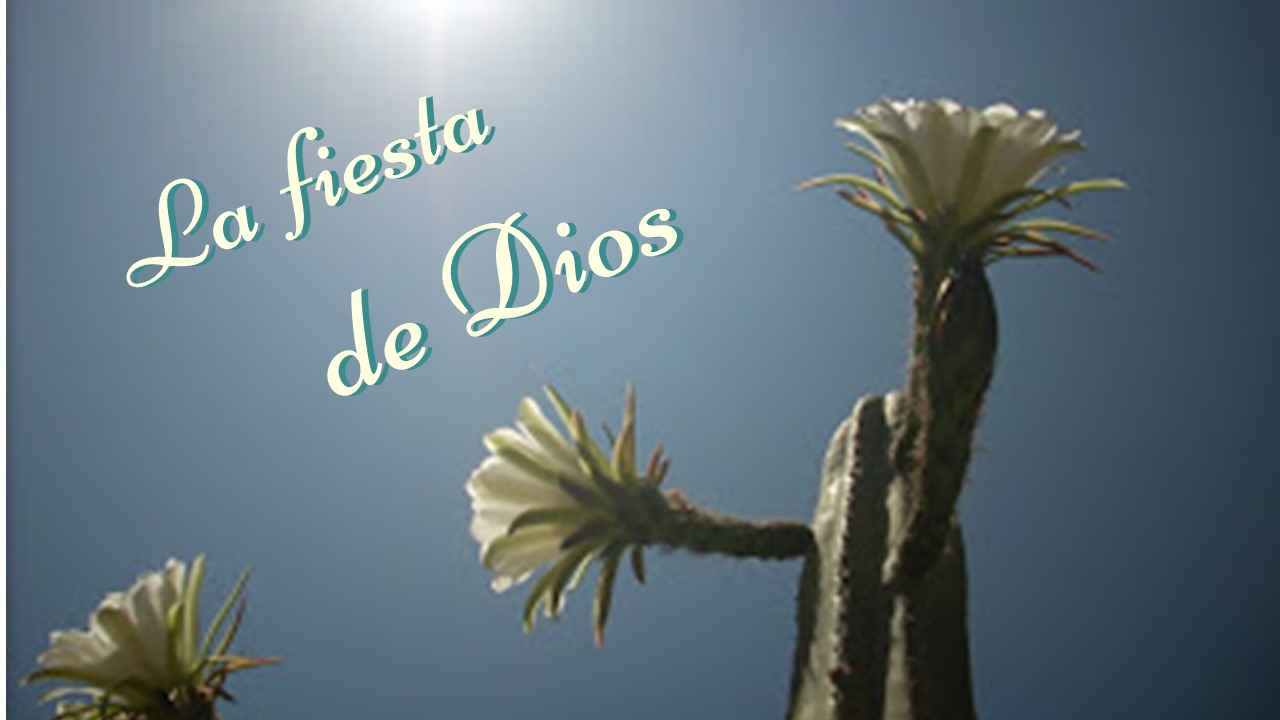 AB INTRA AD EXTRA. COMENTARIO AL EVANGELIO DEL DOMINGO DE LA SANTÍSIMA ...